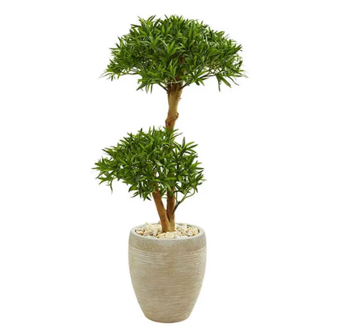 Neva PlantationsShop - Neva Plantations